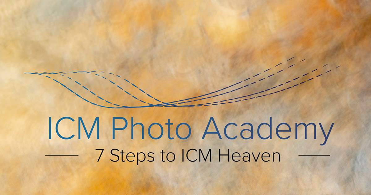 7 Steps to ICM Heaven | Free introduction to ICM Photography